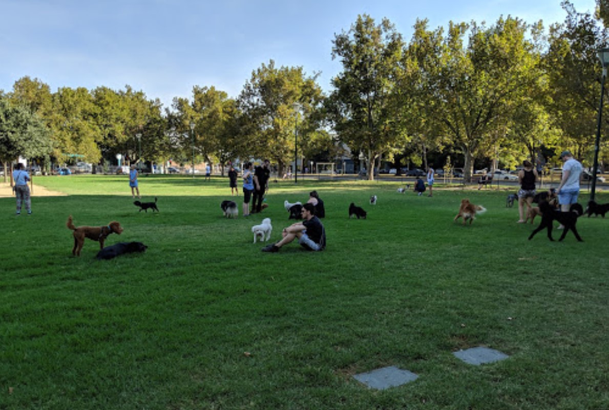 The Parks Of North Melbourne, A Tour.